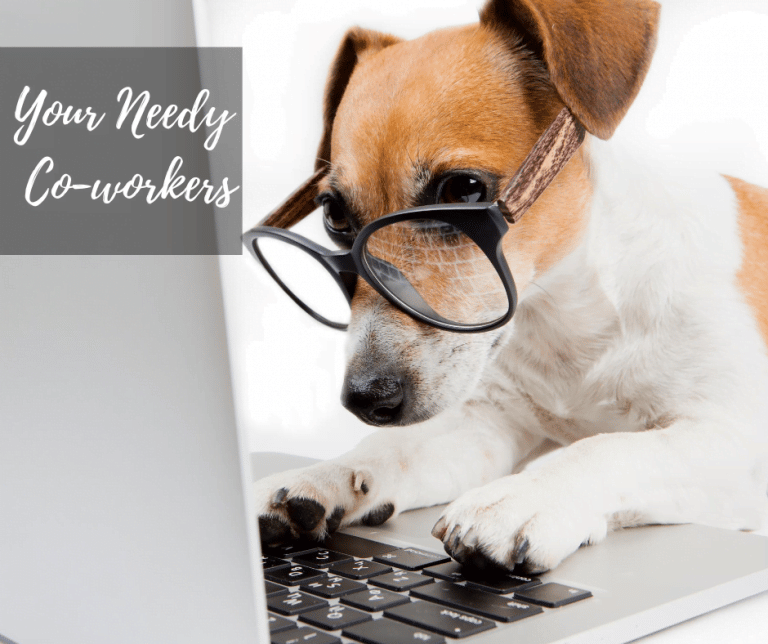 Needy Coworkers? Your Work from Home Coworkers aka Your Pets - TeleReach